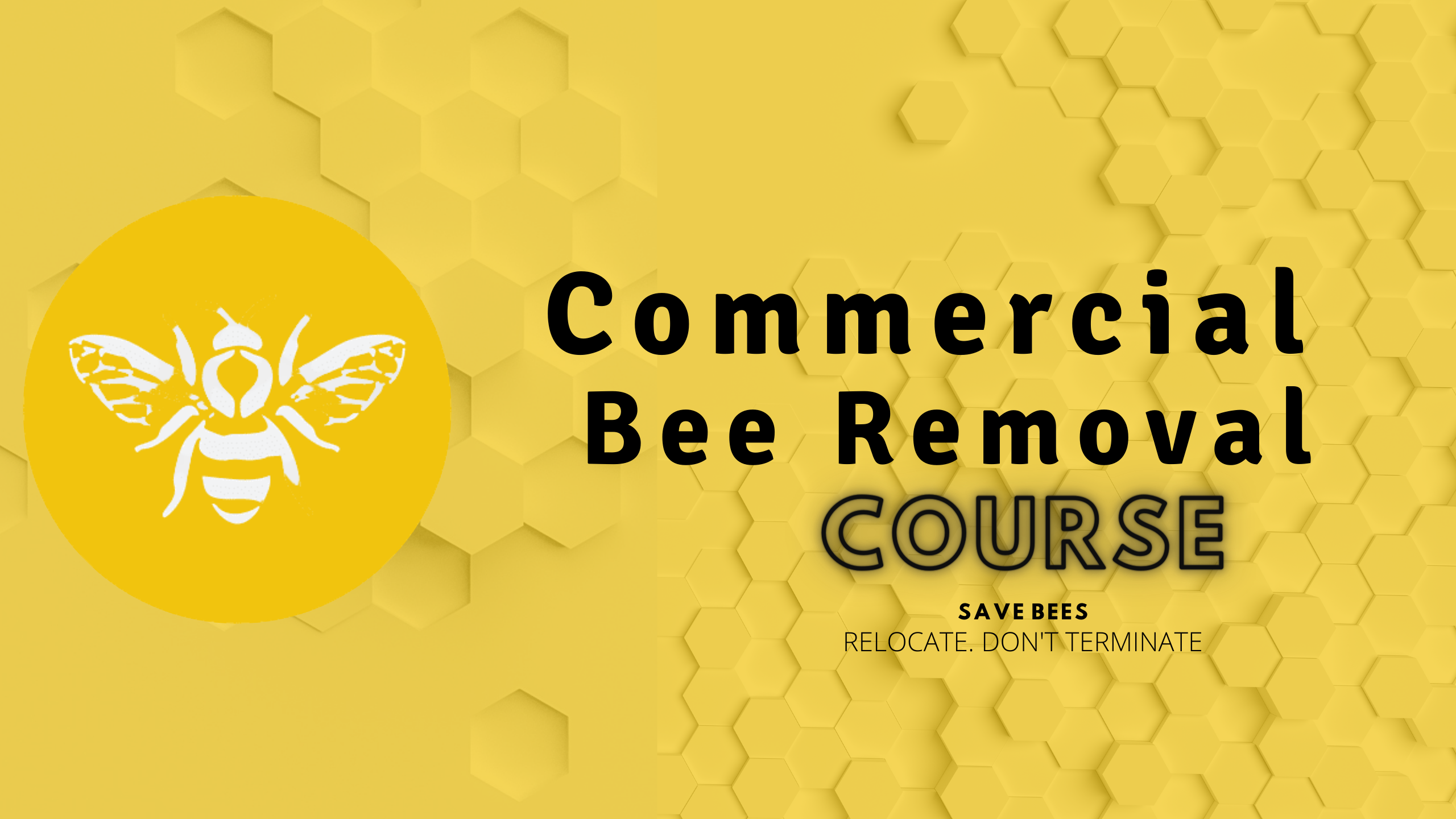 Commercial Bee Removal Course